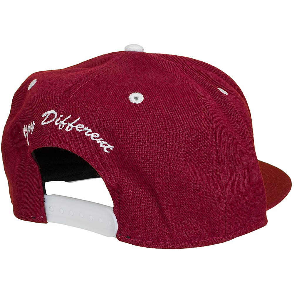 Iriedaily Daily Flag Snapback Cap maroon - hier bestellen!